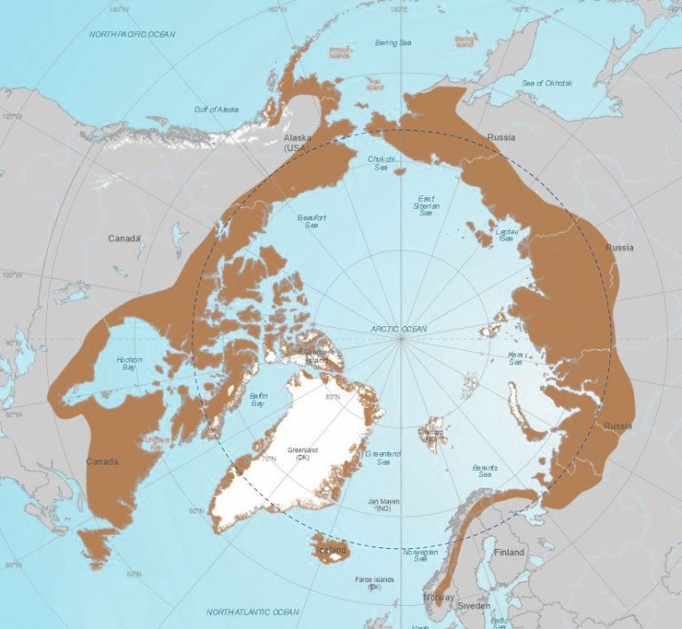 The arctic fox, the complete guide